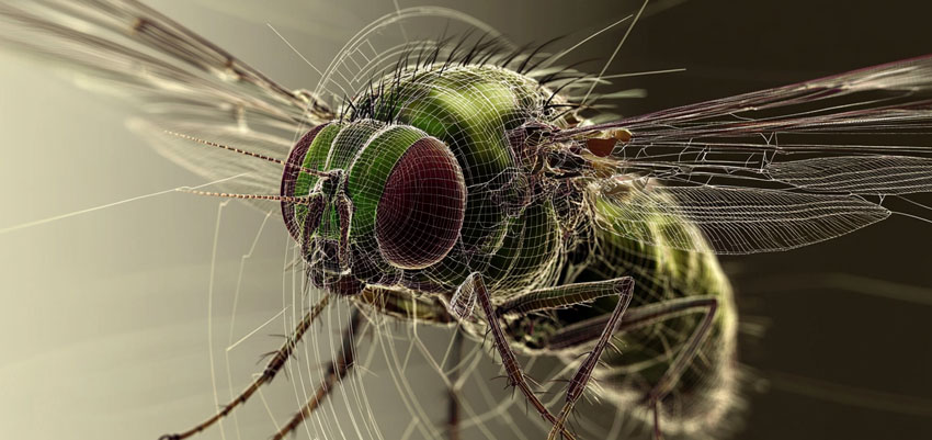 Cognitive Modeling | The University of Chicago Division of the Social ...